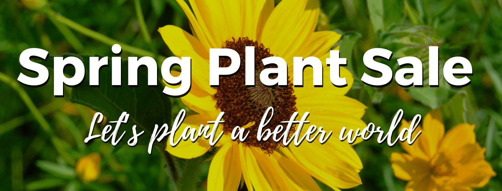 STARS Annual Spring Plant Sale | Stratford Crier