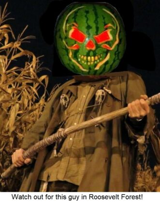 The Legend of the Melonheads | Stratford Crier