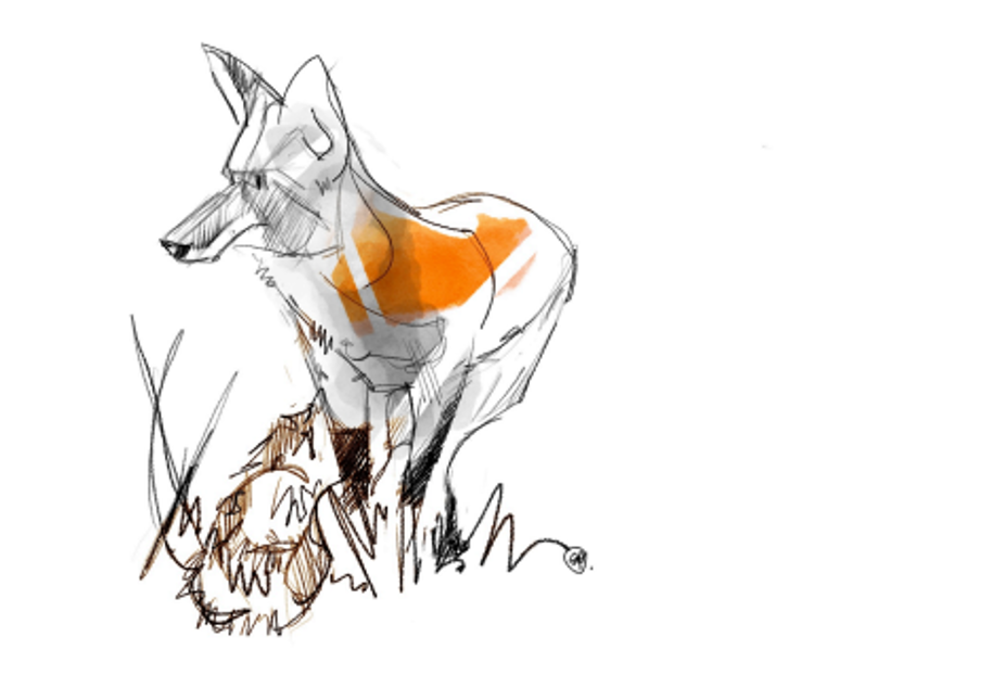 Curious by Nature | Stratford Crier